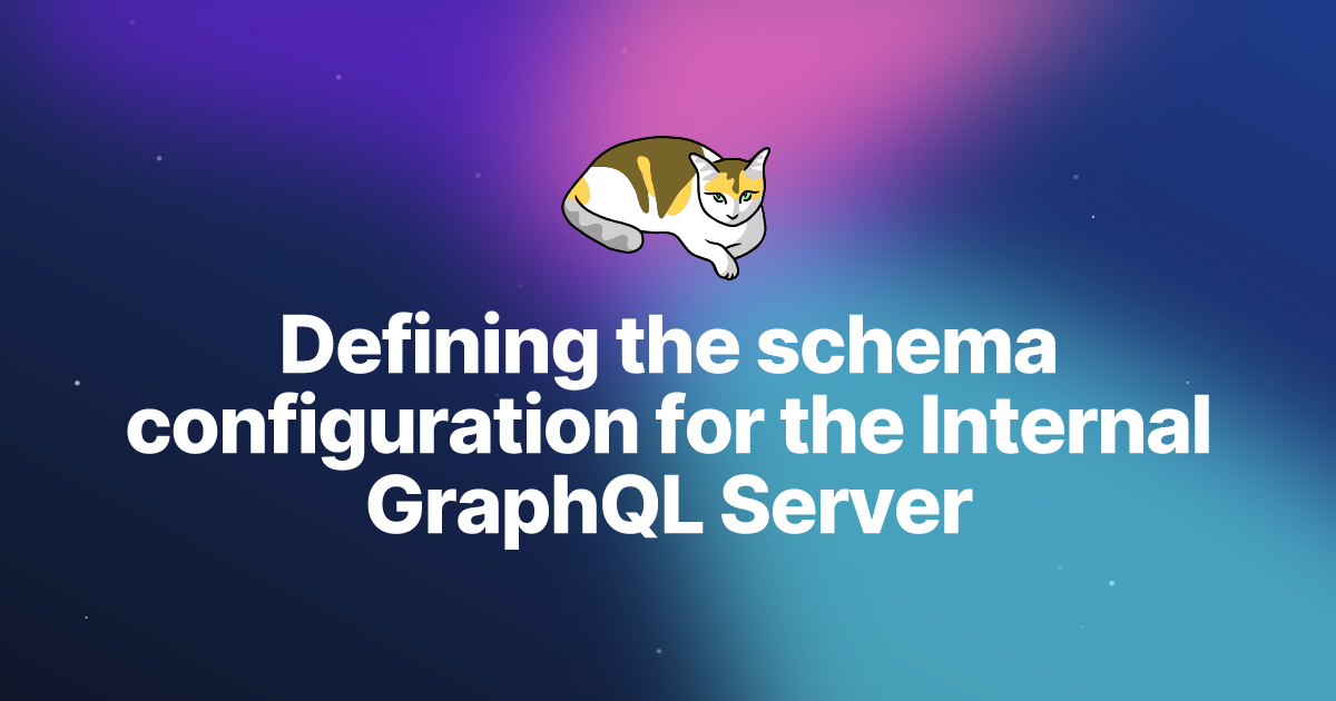Defining The Schema Configuration For The Internal Graphql Server Gato Graphql For Wordpress